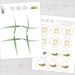 GRASSHOPPER Unit Study, Life Cycle, Anatomy, Nature Study, Science ...