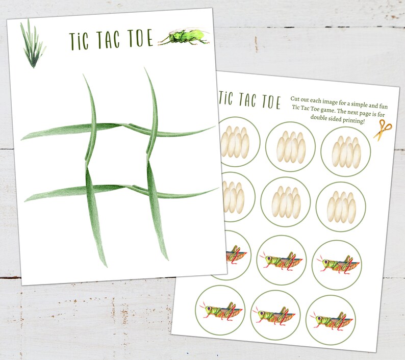 GRASSHOPPER Unit Study, Life Cycle, Anatomy, Nature Study, Science ...
