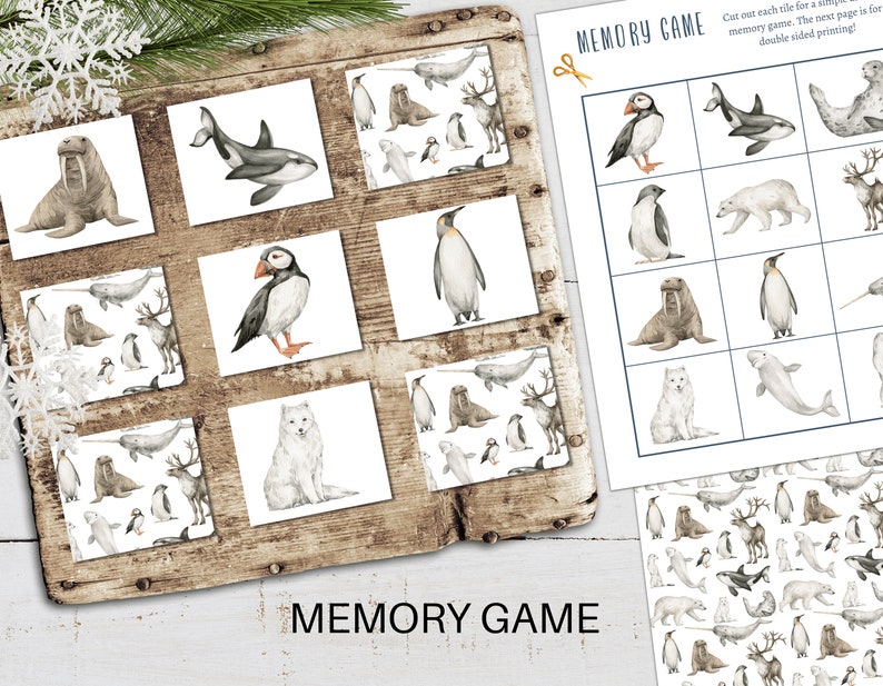 POLAR Animals Pre-k and K Activity Pack Homeschool Digital - Etsy