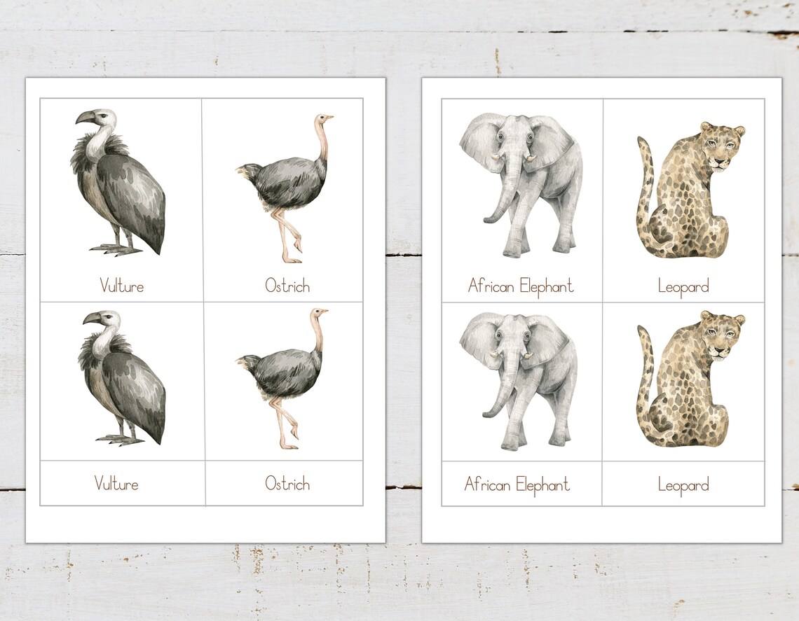 AFRICAN ANIMALS Mini Poster 3-part Cards Homeschool - Etsy