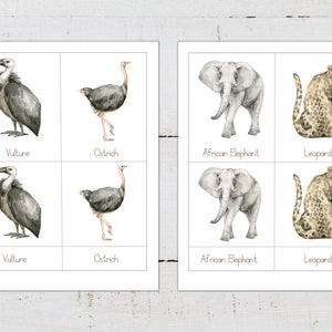 AFRICAN ANIMALS Mini Poster + 3-part Cards, Homeschool, Montessori ...