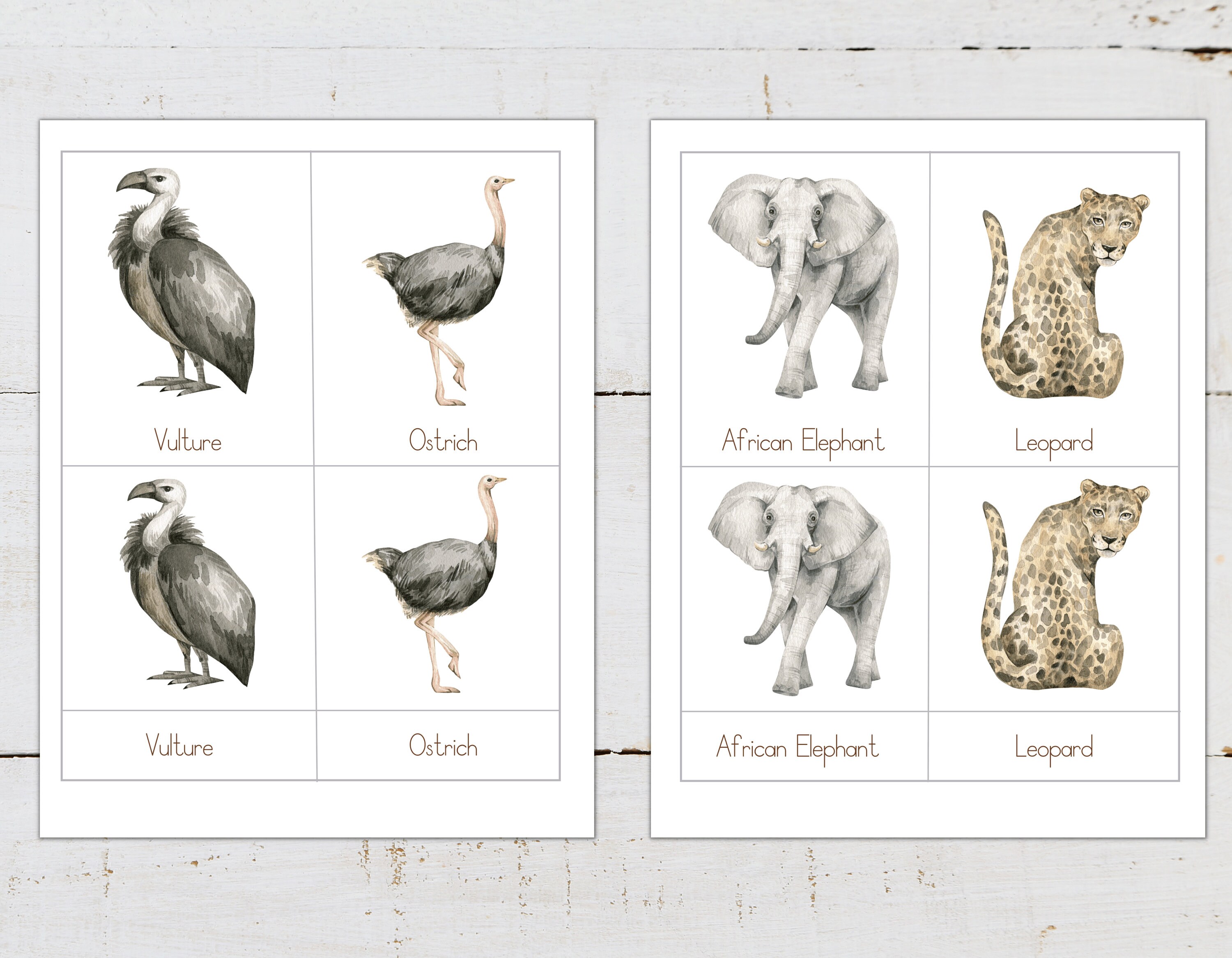 AFRICAN ANIMALS Mini Poster 3-part Cards Homeschool - Etsy
