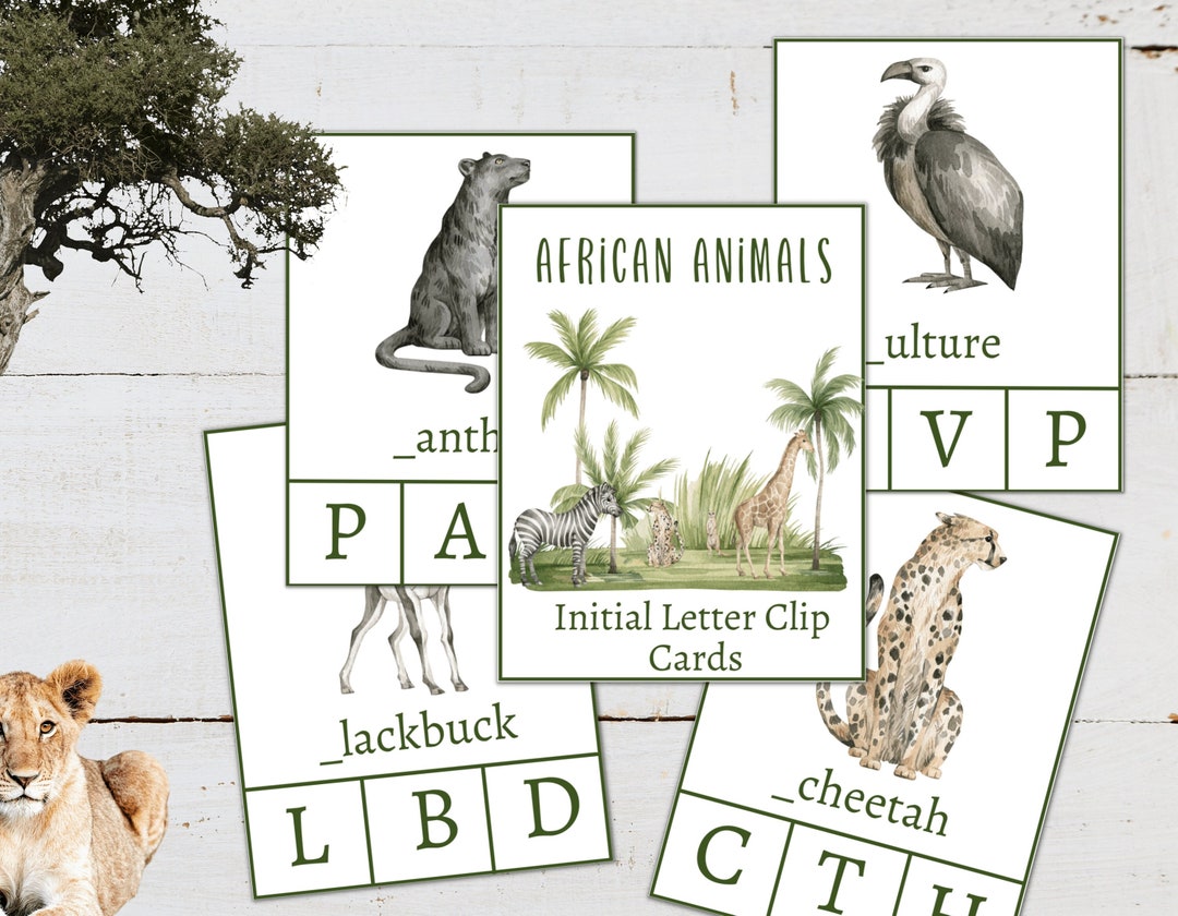 AFRICAN Animals Initial Letter Clip Cards, 18 Cards, Activity for Kids ...