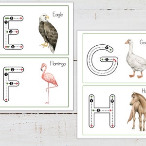 ANIMALS ABC Tracing Cards, A to Z Tracing and Coloring, Instant ...
