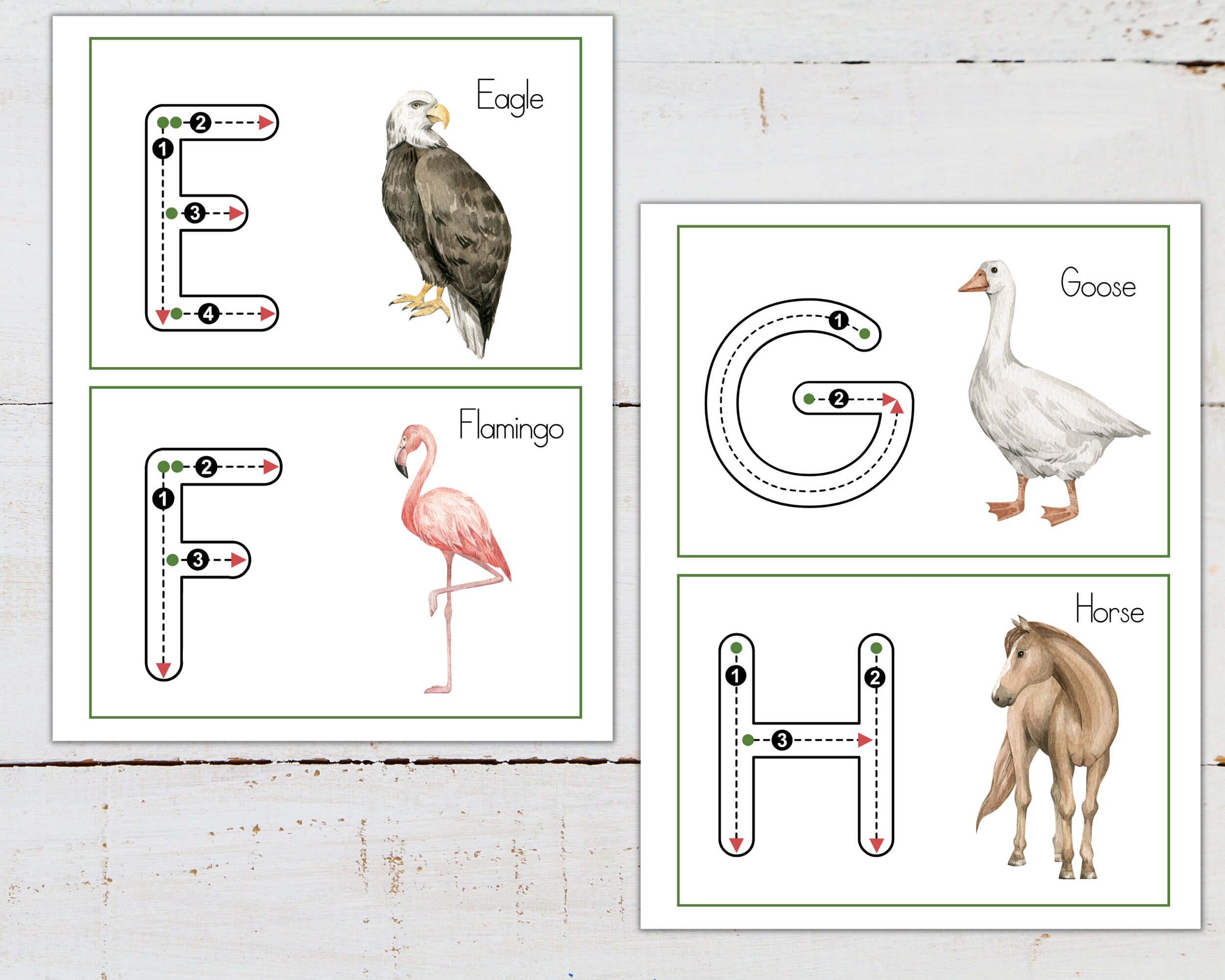 ANIMALS ABC Tracing Cards A to Z Tracing and Coloring - Etsy