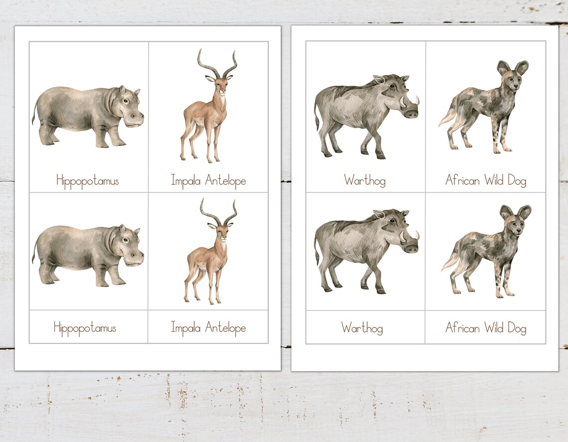 AFRICAN ANIMALS Mini Poster 3-part Cards Homeschool - Etsy
