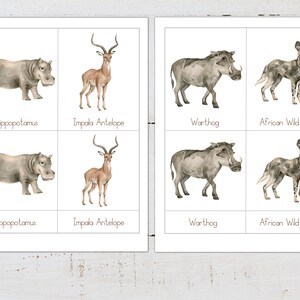 AFRICAN ANIMALS Mini Poster + 3-part Cards, Homeschool, Montessori ...
