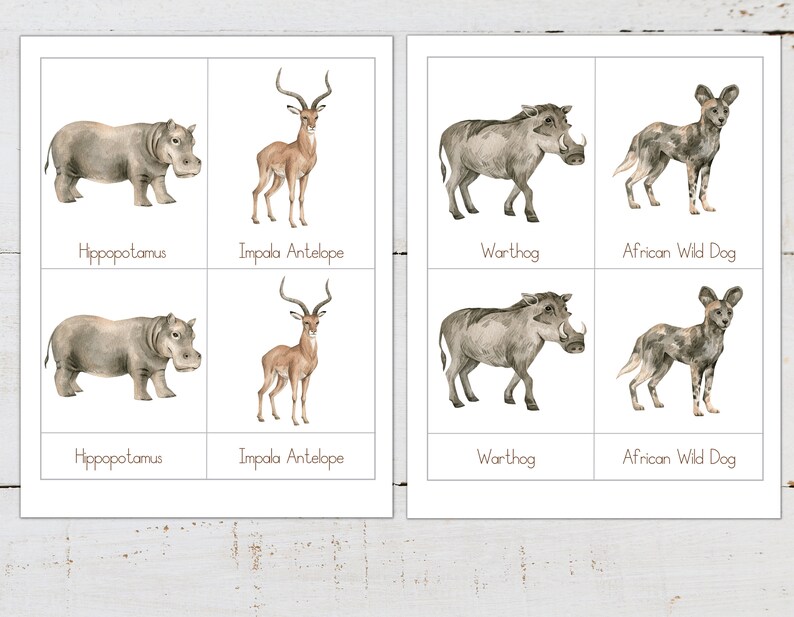 AFRICAN ANIMALS Mini Poster 3-part Cards, Homeschool, Montessori ...