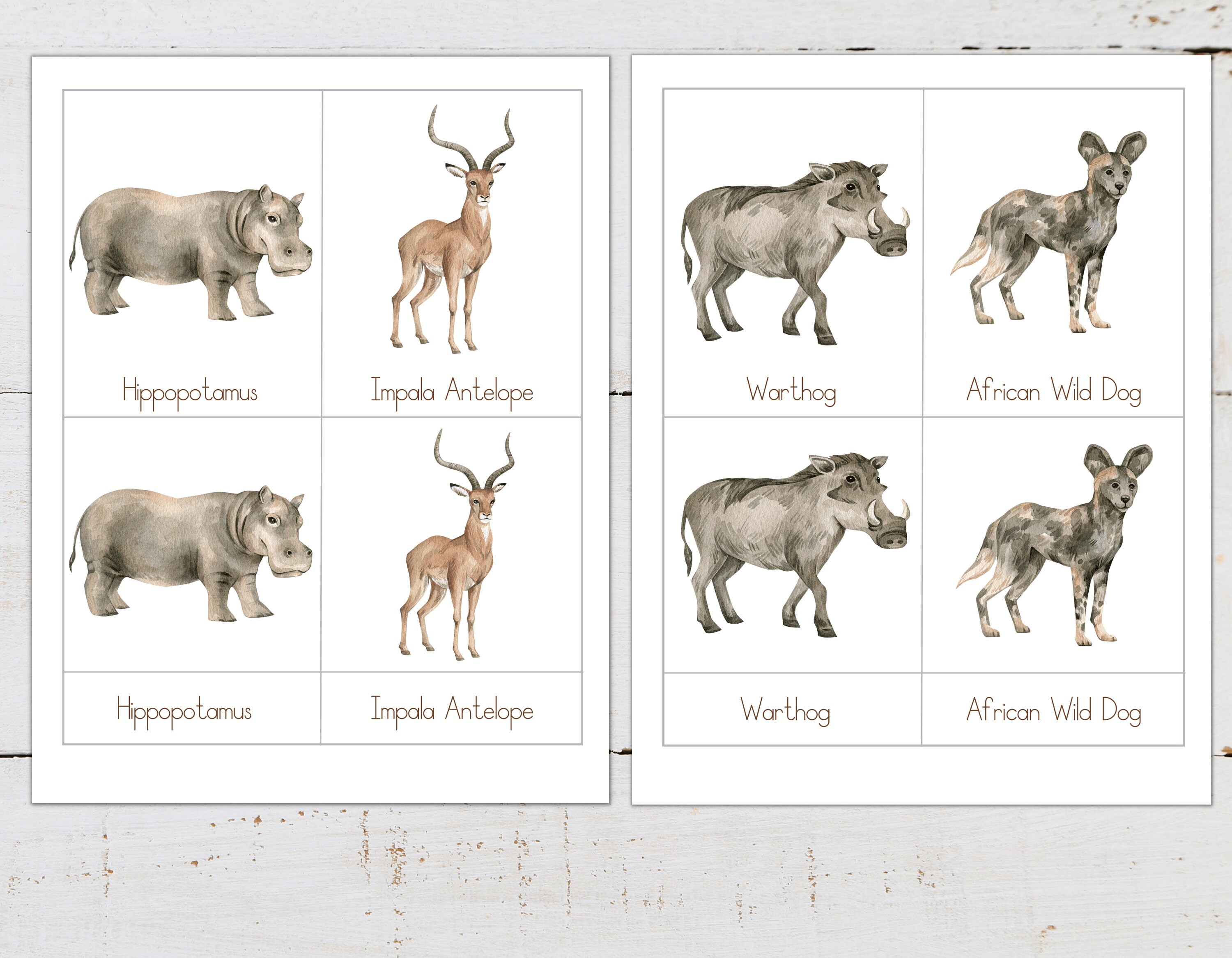 AFRICAN ANIMALS Mini Poster 3-part Cards Homeschool - Etsy