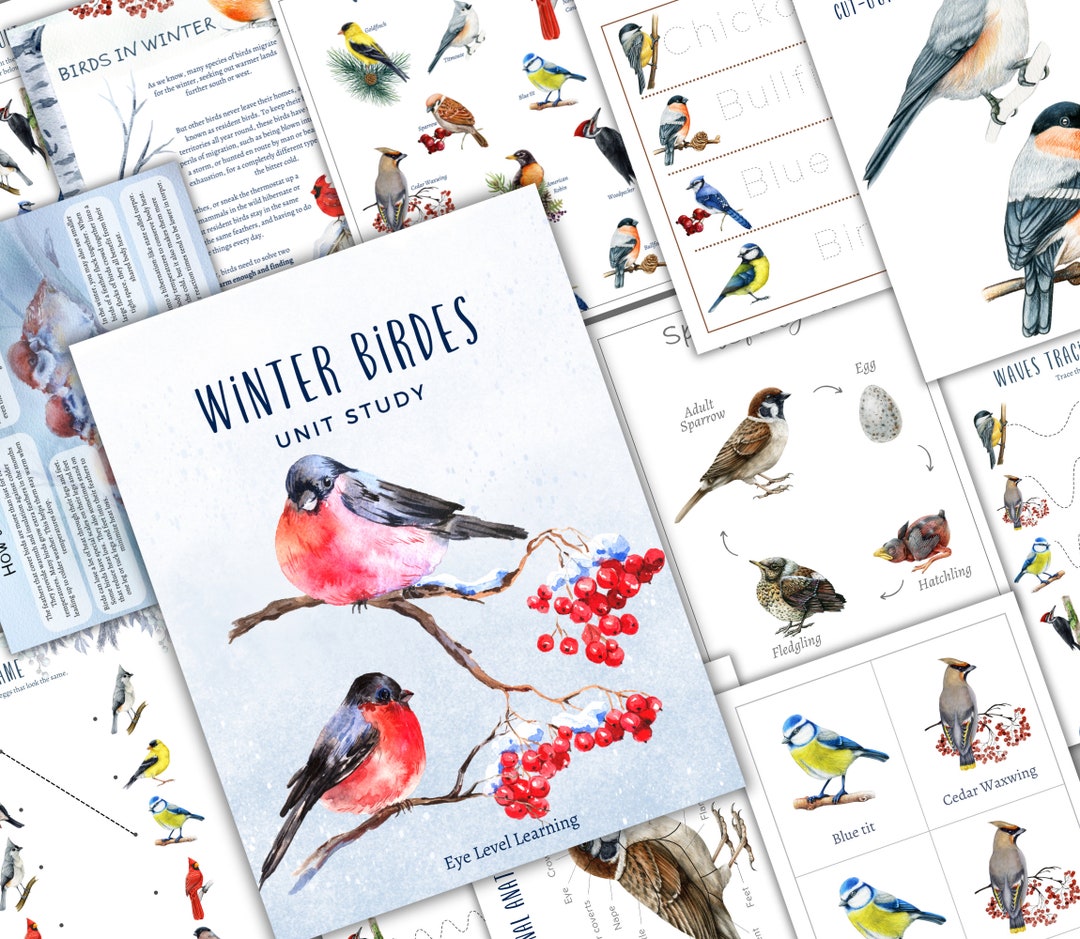 WINTER BIRDS Unit Study, Life Cycle, Anatomy, Nature Study, Science ...