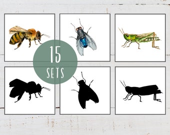 Insects Shadow Matching Cards. Montessori-based Learning Activity ...