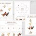 CHICKEN Mini Unit Study Life Cycle Anatomy Nature Study - Etsy