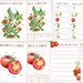 Tomato Anatomy Posters, Labeling and Tracing Activity, Homeschool ...