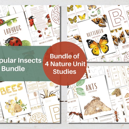 INSECTS BUNDLE Bees Ants Ladybug Butterflies Unit Studies - Etsy