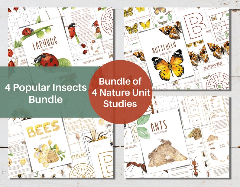 INSECTS BUNDLE Bees Ants Ladybug Butterflies Unit Studies - Etsy