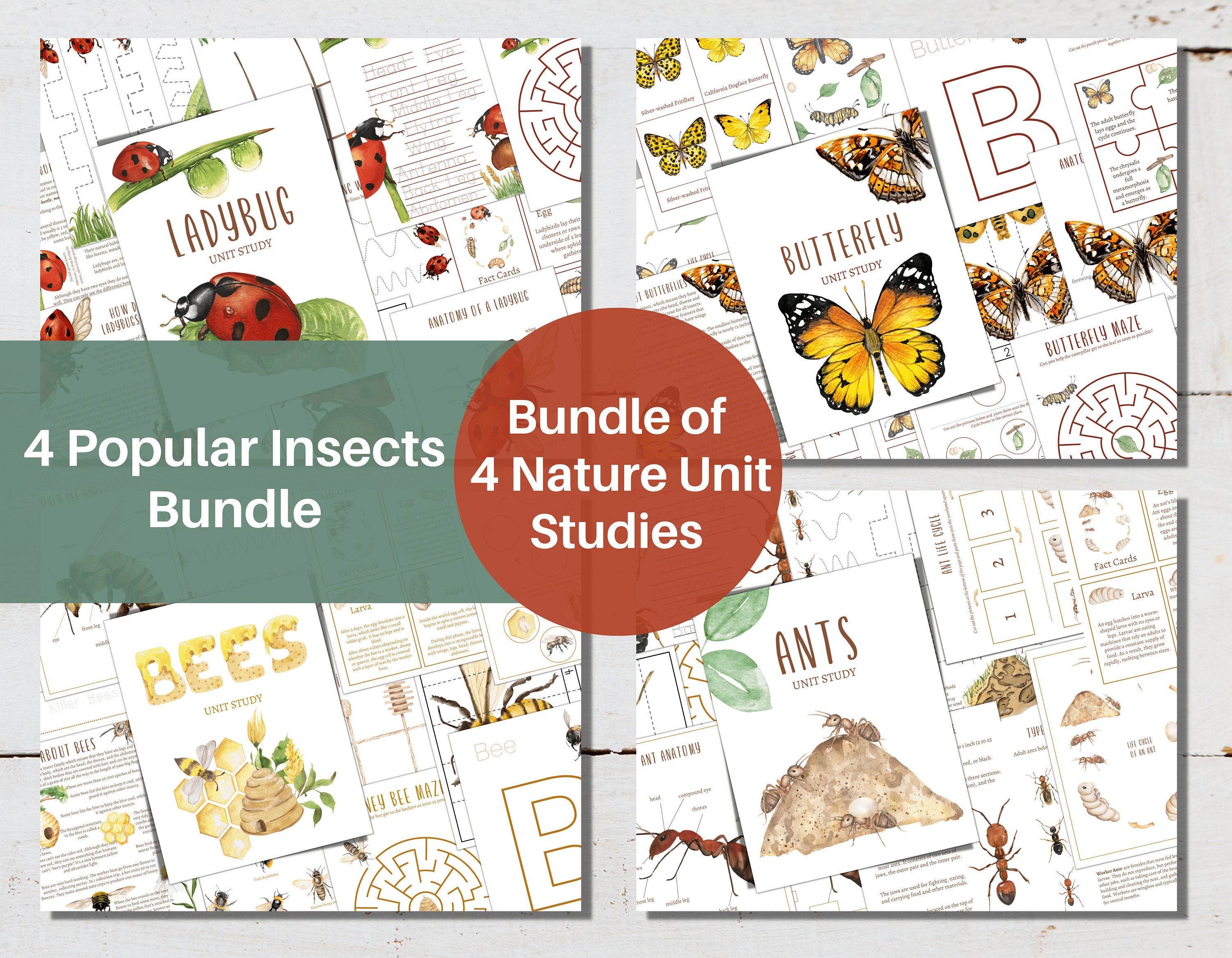 INSECTS BUNDLE Bees Ants Ladybug Butterflies Unit Studies - Etsy
