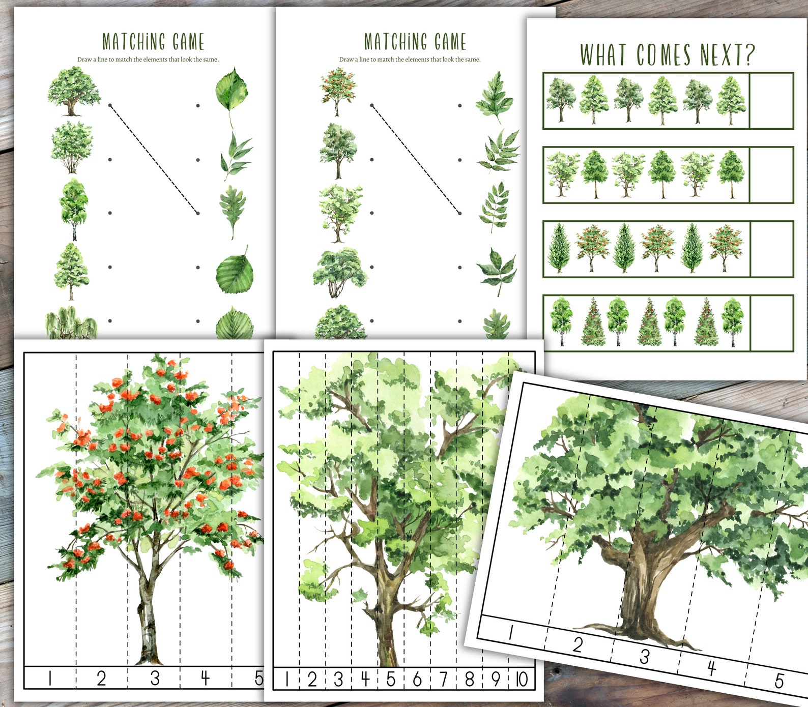 TREE Unit Study, Life Cycle, Anatomy, Nature Study, Science, Homeschool ...