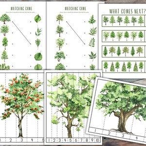 TREE Unit Study, Life Cycle, Anatomy, Nature Study, Science, Homeschool ...