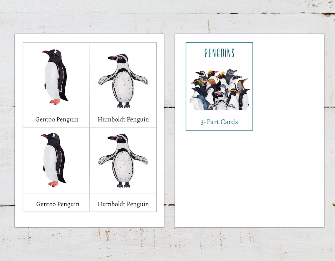PENGUINS Mini Poster 3-part Cards, 18 Penguins, Homeschool, Montessori ...