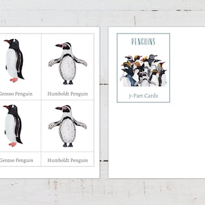 PENGUINS Mini Poster + 3-part Cards, 18 Penguins, Homeschool ...