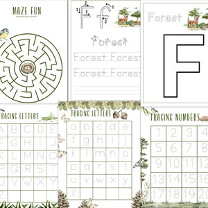 IN THE FOREST Pre-k and K Activity Pack, Homeschool, Digital, Instant ...
