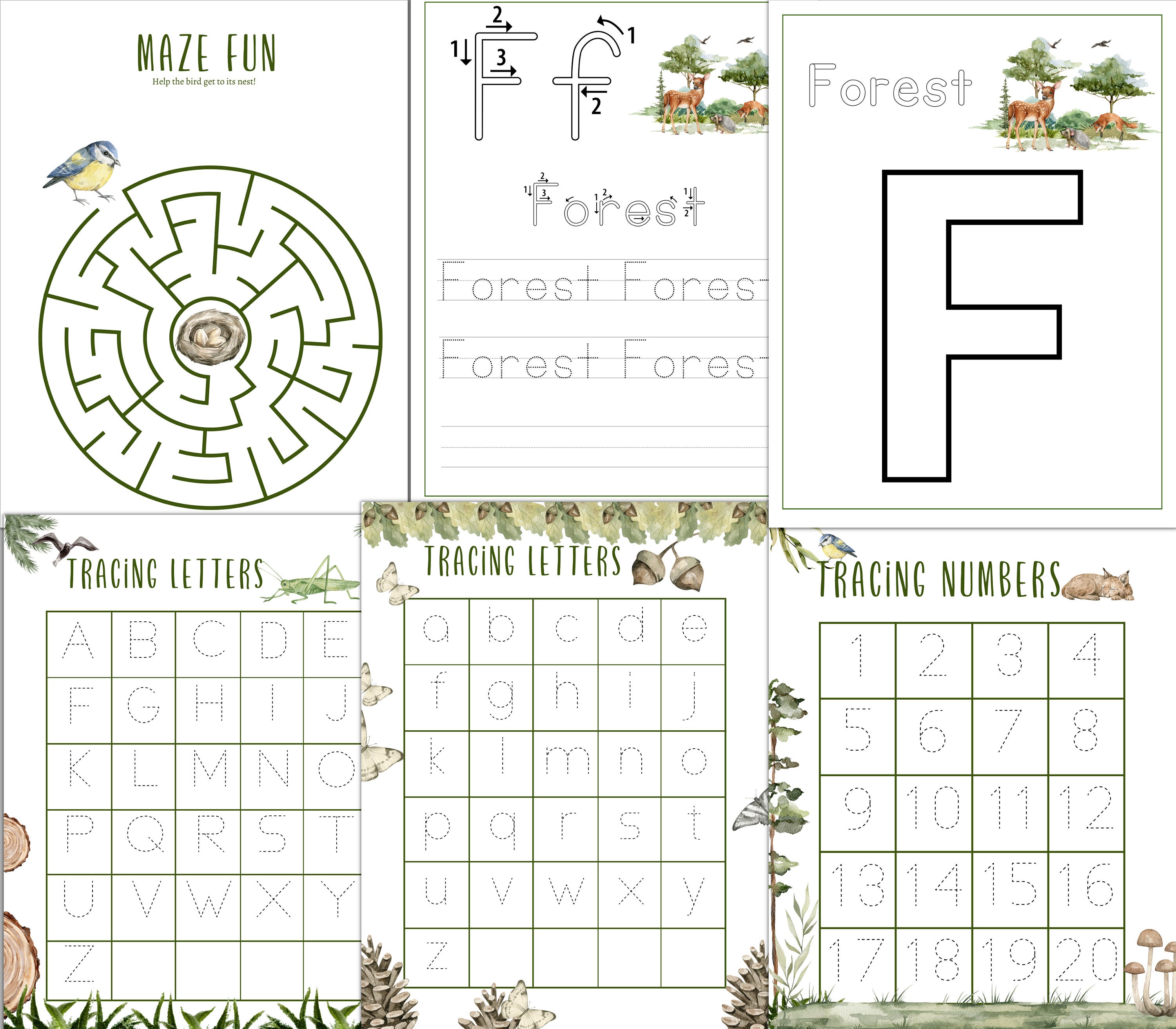 IN THE FOREST Pre-k and K Activity Pack, Homeschool, Digital, Instant ...