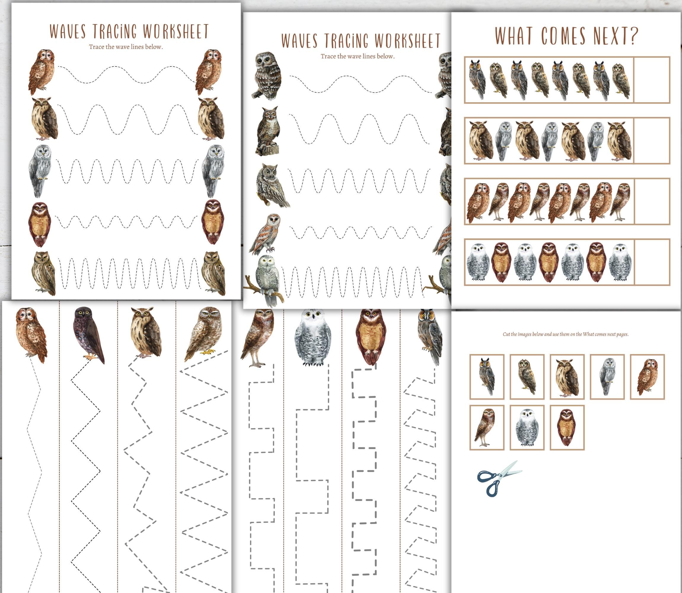 OWLS Unit Study, Life Cycle, Anatomy, Nature Study, Science, Homeschool ...
