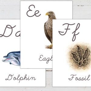 Alphabet Posters, Large Format for Classroom Use - Etsy