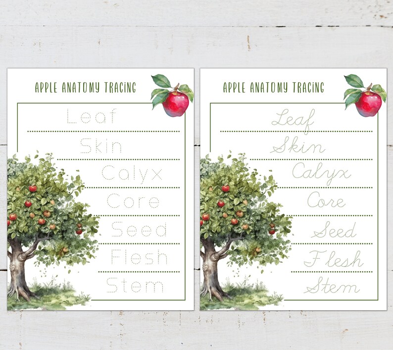 APPLE Anatomy Posters, Labeling and Tracing Activity, Homeschool ...