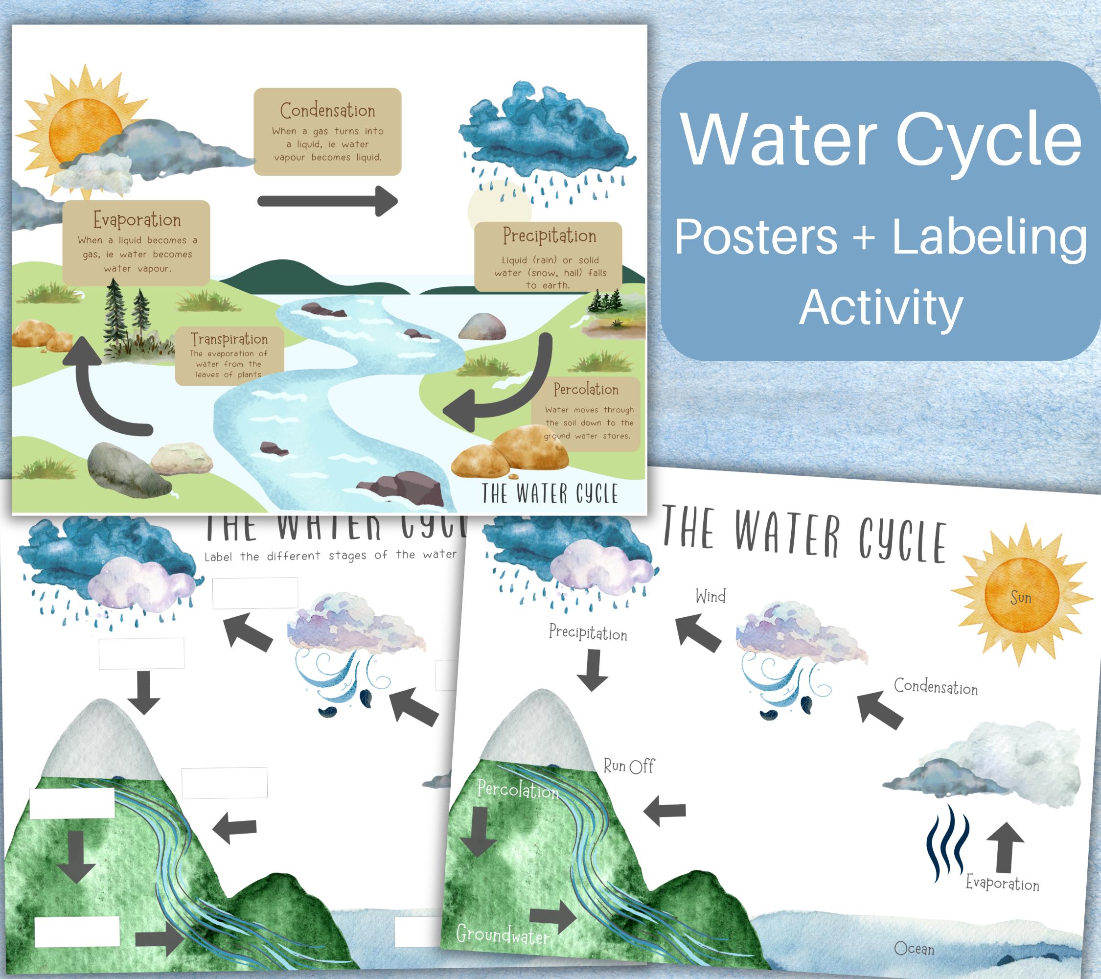 Water Cycle Posters + Labeling Activity, INSTANT DOWNLOAD, DIGITAL - Etsy