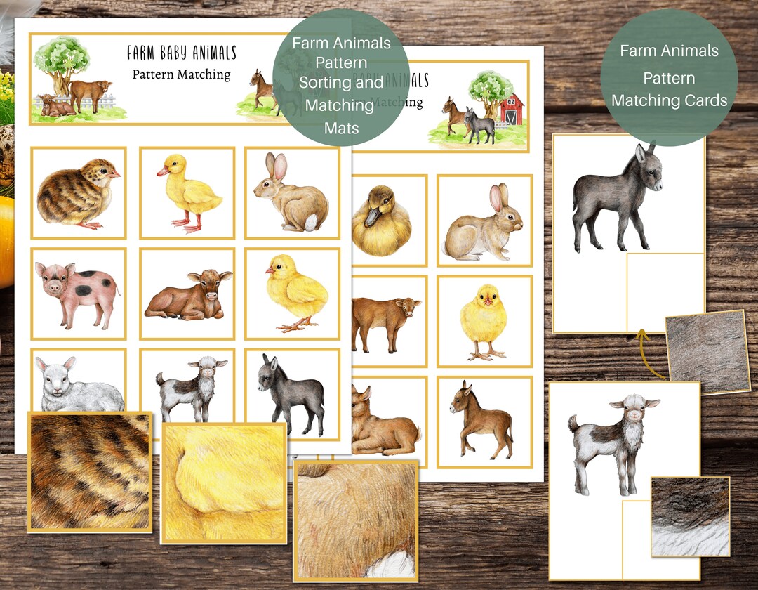 FARM Baby Animal Pattern Matching Cards, Montessori Farm, Nature Study ...