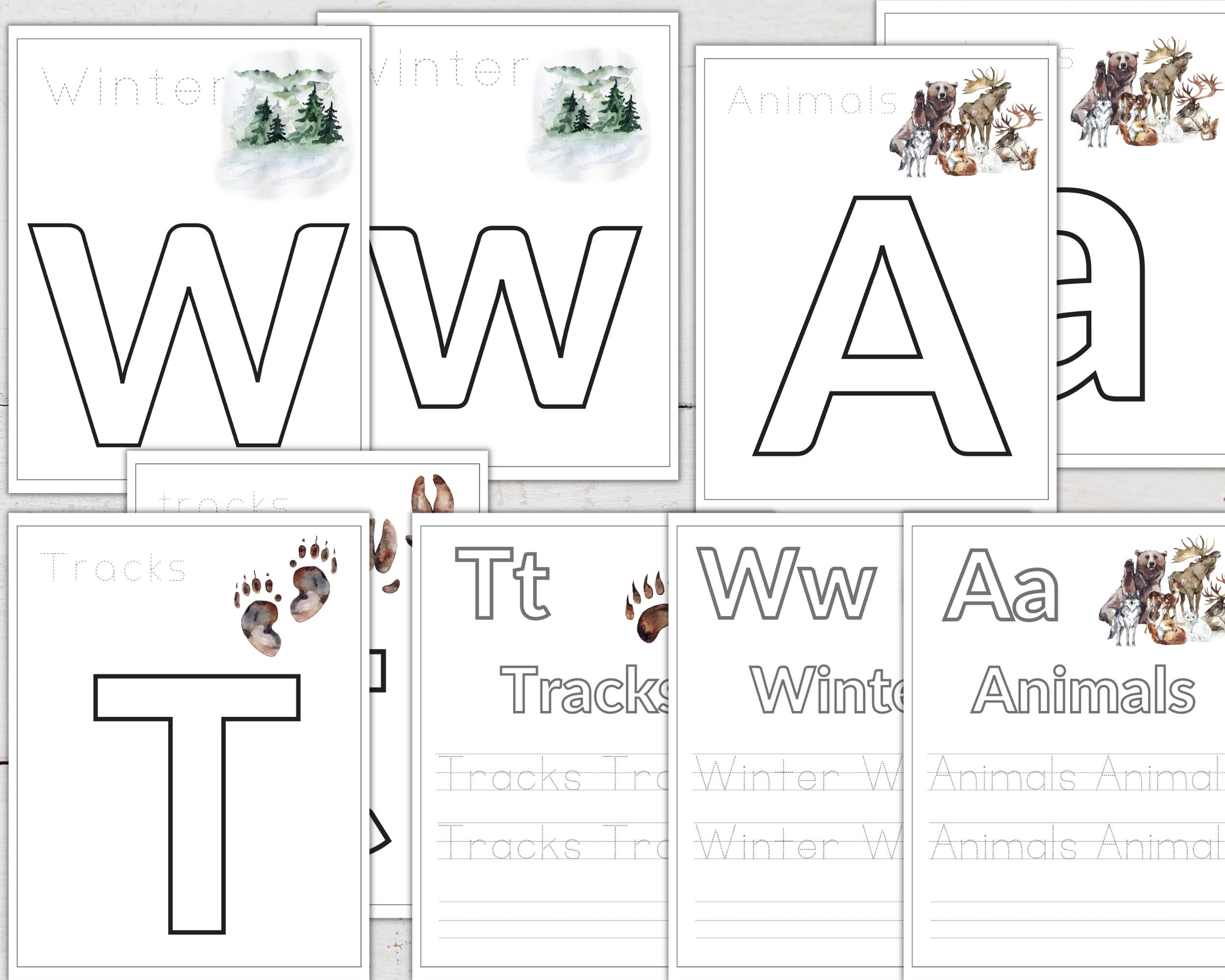 WINTER ANIMALS Unit Study, Life Cycle, Anatomy, Nature Study, Science ...