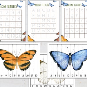 BUTTERFLY Pre-k and K Activity Pack, Homeschool, Digital, Instant ...