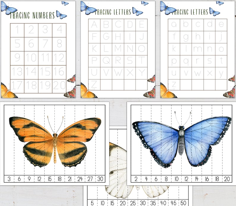 BUTTERFLY Pre-k and K Activity Pack, Homeschool, Digital, Instant ...