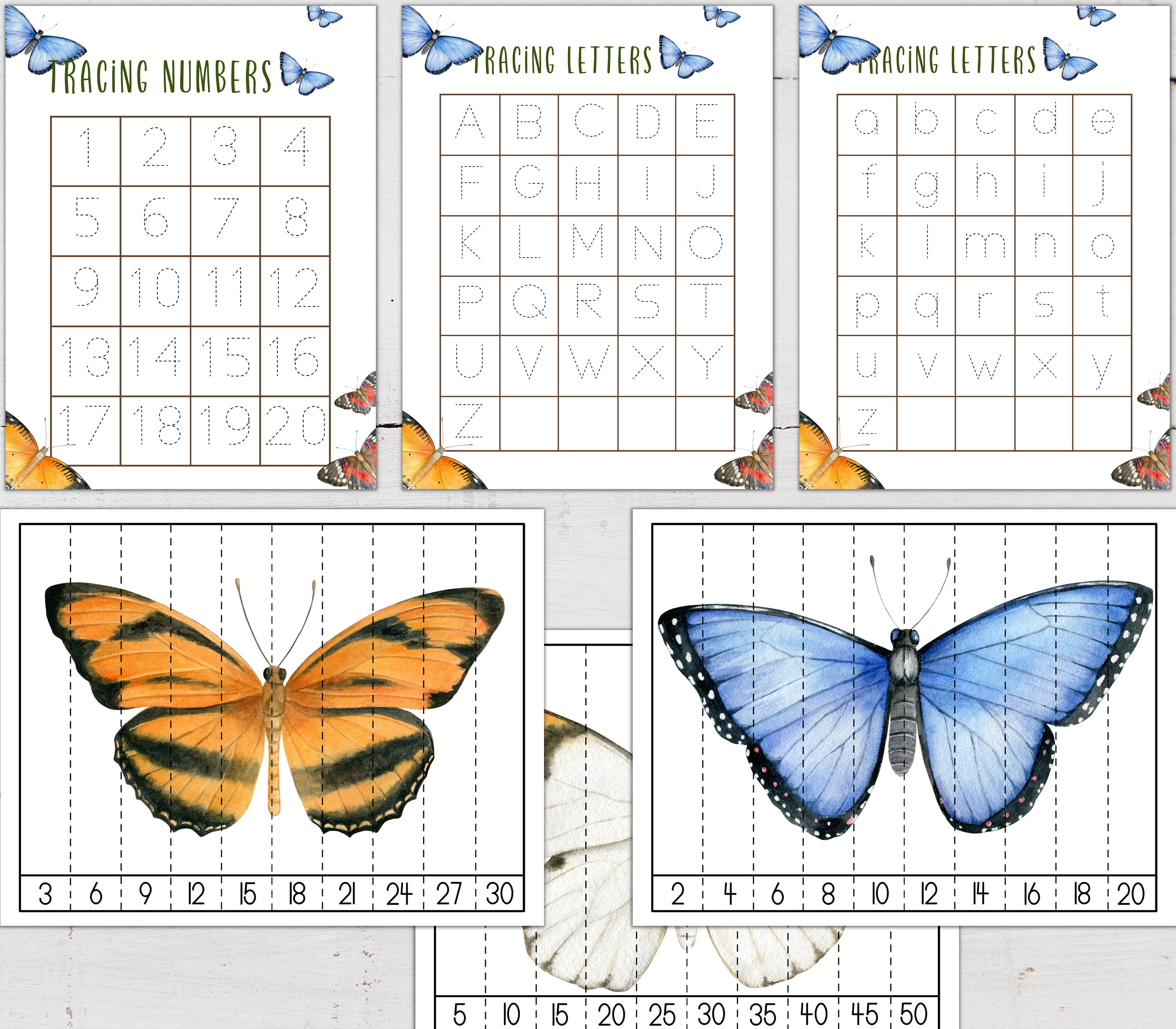 BUTTERFLY Pre-k and K Activity Pack, Homeschool, Digital, Instant ...