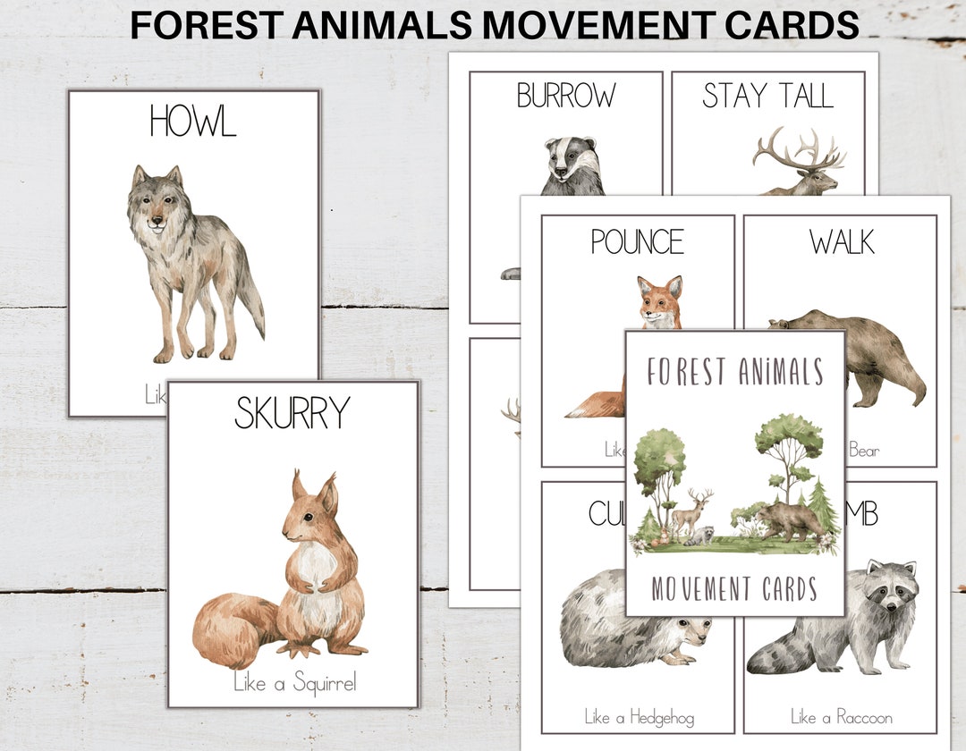 ANIMAL MOVEMENT CARDS Forest Animals Calm Down Activity - Etsy