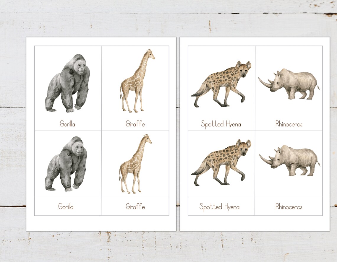 AFRICAN ANIMALS Mini Poster 3-part Cards Homeschool - Etsy
