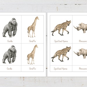 AFRICAN ANIMALS Mini Poster + 3-part Cards, Homeschool, Montessori ...