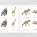 AFRICAN ANIMALS Mini Poster + 3-part Cards, Homeschool, Montessori ...