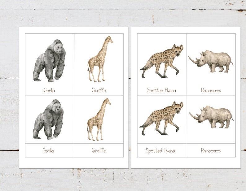 AFRICAN ANIMALS Mini Poster 3-part Cards Homeschool - Etsy