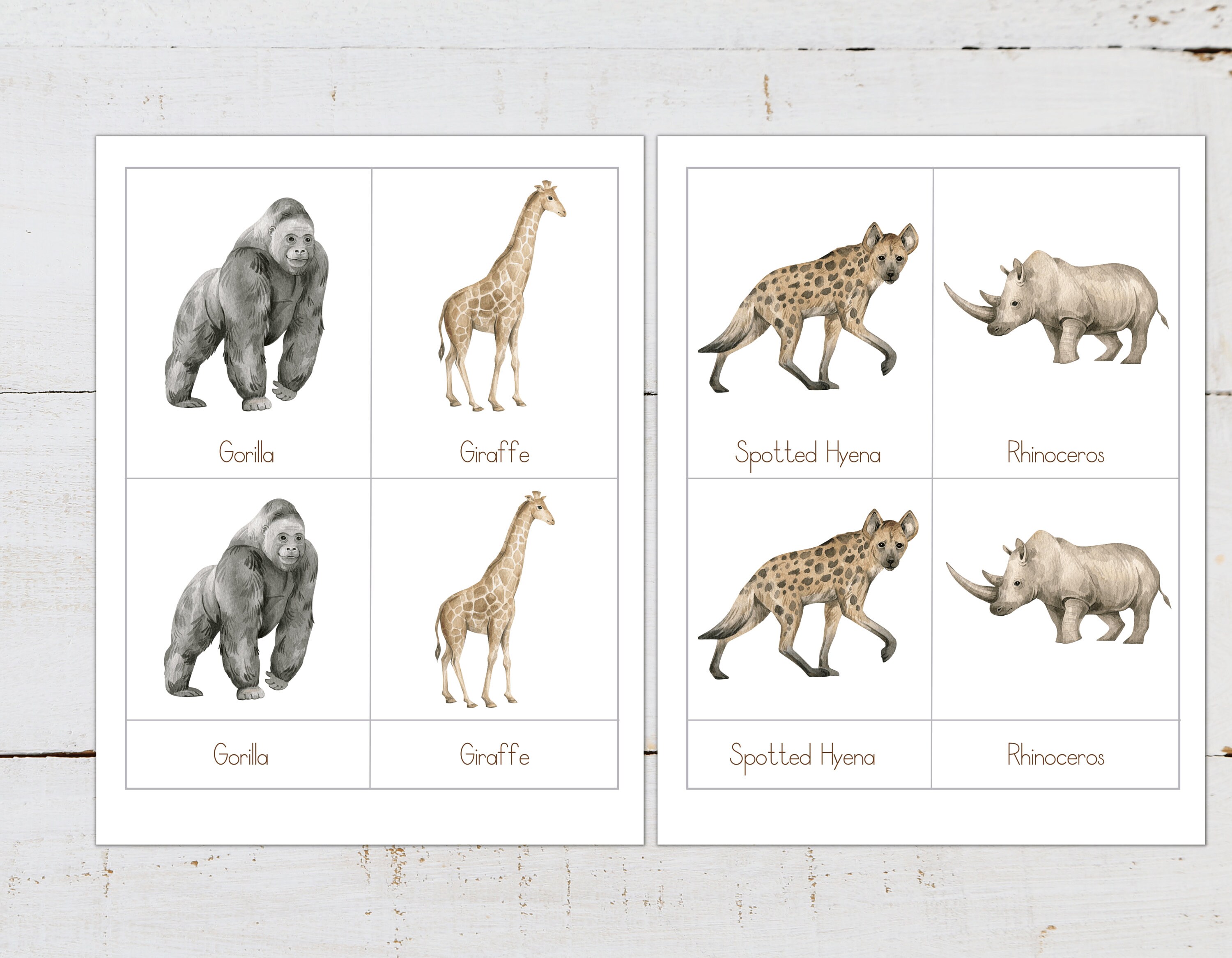 AFRICAN ANIMALS Mini Poster 3-part Cards Homeschool - Etsy