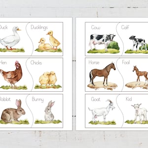 Mother and Baby Farm Animal Matching Cards and Flash Cards. Montessori ...