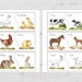 Mother and Baby Farm Animal Matching Cards and Flash Cards. Montessori ...