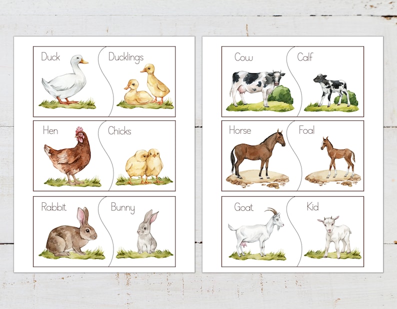 Mother and Baby Farm Animal Matching Cards and Flash Cards. Montessori ...
