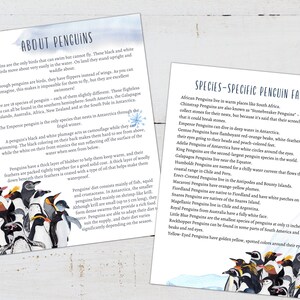PENGUINS Unit Study, Life Cycle, Anatomy, Nature Study, Science ...
