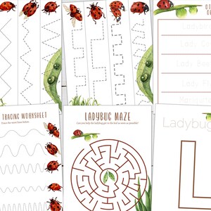 LADYBUG Unit Study, Life Cycle, Anatomy, Nature Study, Science ...