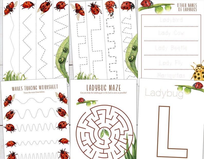 LADYBUG Unit Study, Life Cycle, Anatomy, Nature Study, Science ...