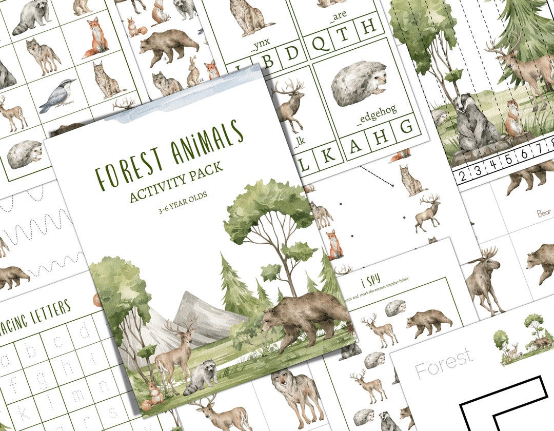 FOREST Animals Pre-k and K Activity Pack, Homeschool, Digital, INSTANT ...