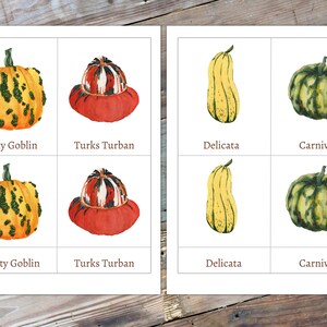 PUMPKIN Varieties Mini Poster + 3-part Cards, Homeschool, Montessori ...