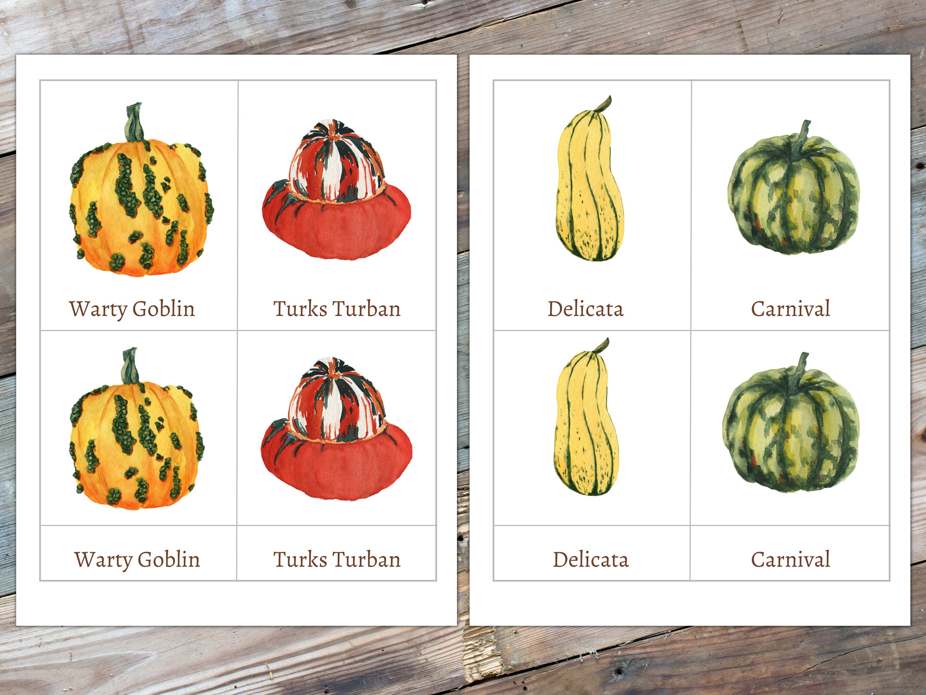 PUMPKIN Varieties Mini Poster + 3-part Cards, Homeschool, Montessori ...